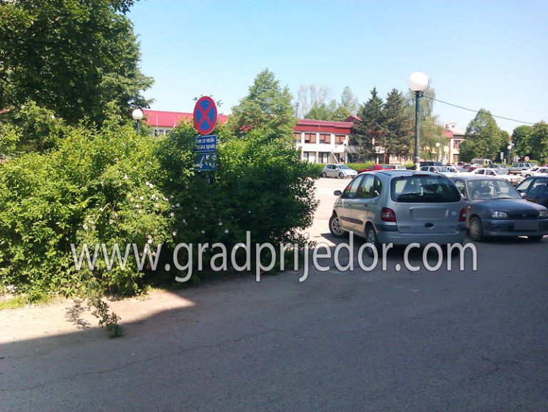 Foto vijest-Džungla u centru grada - GradPrijedor.com - Portal grada Prijedora