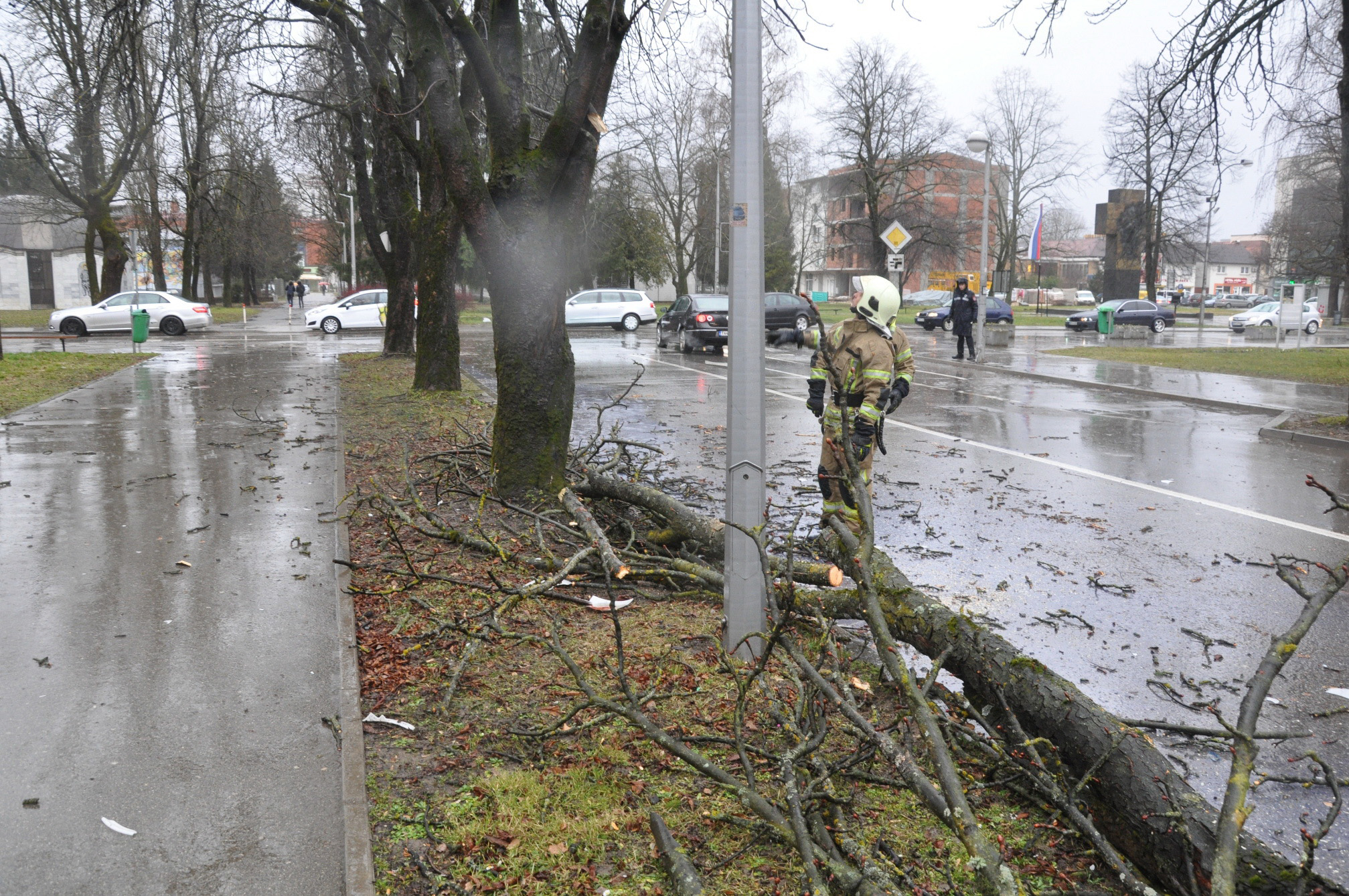 Jak vjetar srušio stablo kestena u centru grada - GradPrijedor.com - Portal grada Prijedora